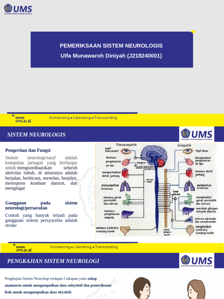 Sistem Neurologi | PDF