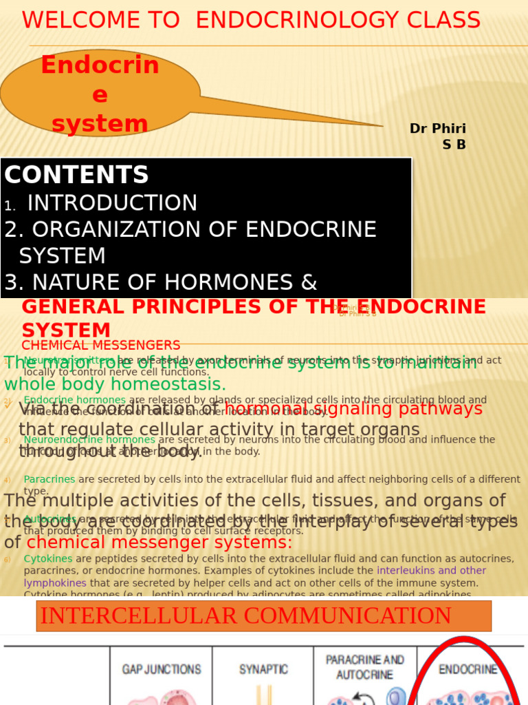 1. Endocrine Lecture One | PDF