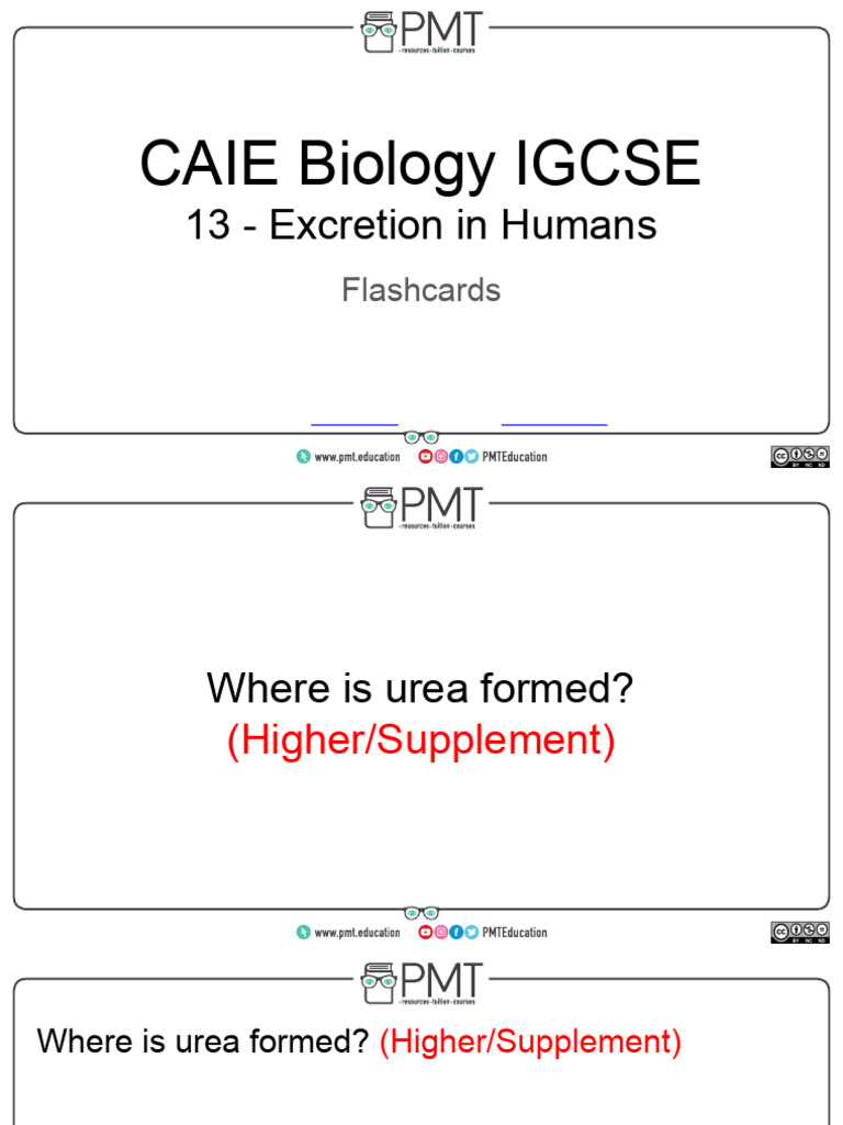 Excretion in Humans Questions For Practice Grade 8 | PDF