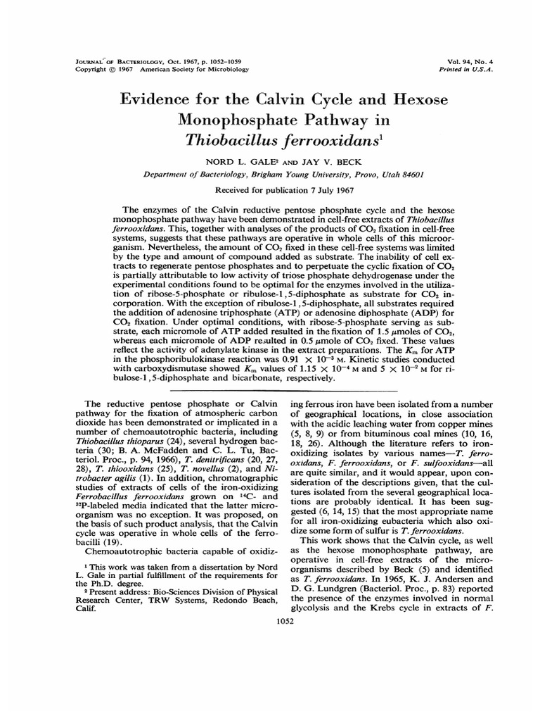 Gale Beck 1967 Evidence For The Calvin Cycle and Hexose Monophosphate ...