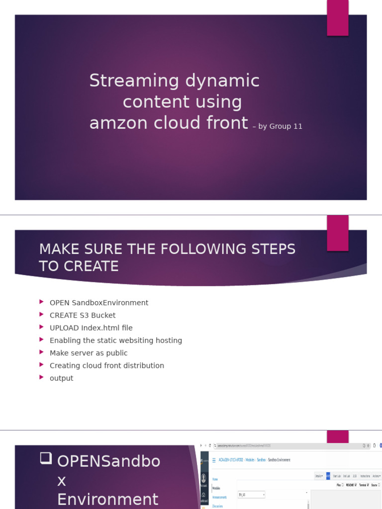 Streaming Dynamic | PDF