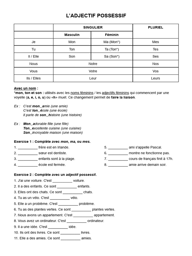L'adjectif possessif | PDF