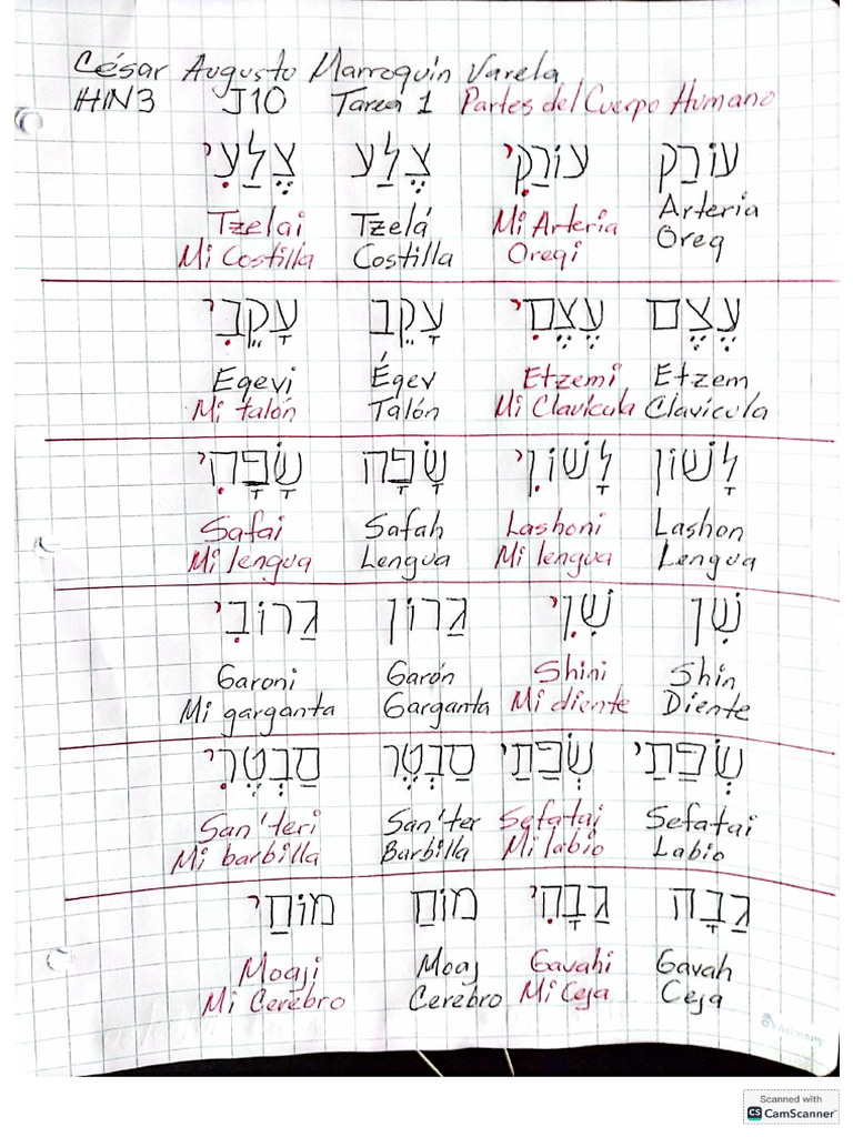 HN3 J10 César Marroquin Tarea 1 | PDF