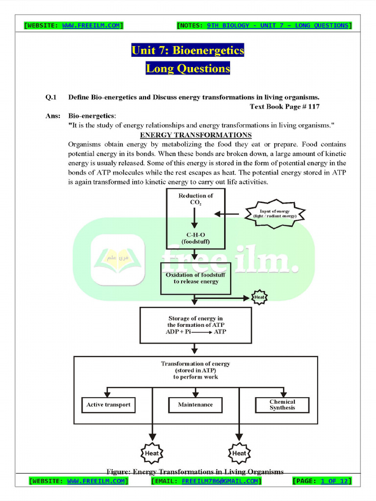 9th Bio Ch7 LongQ | PDF