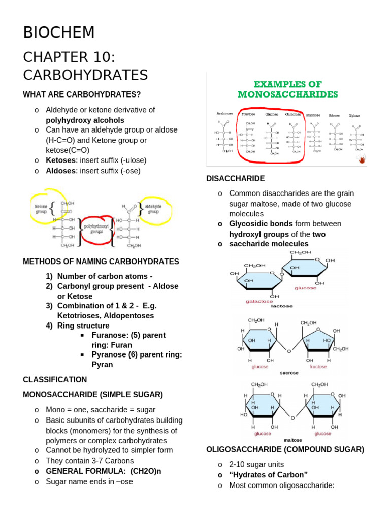 Carbohydrates | PDF