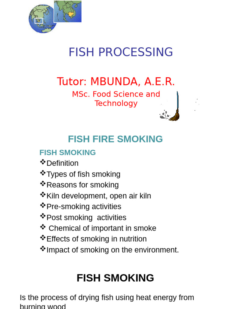 Lecture 3 - 4 Fish Smoking | PDF