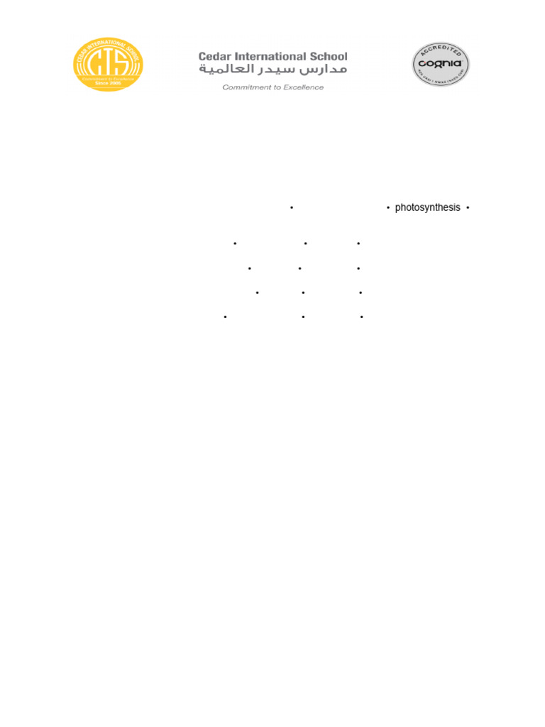 Topic 1 Lesosn 2 Worksheet + Answer Key | PDF