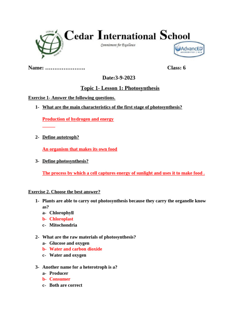 Topic 1 Lesson 1 Exercises Answer Key | PDF