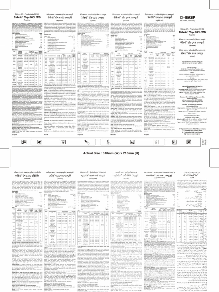 Revision Pay Scale ZP | PDF