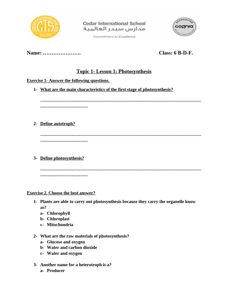 Topic 1 Lesson 1 Exercises + Answer Key | PDF