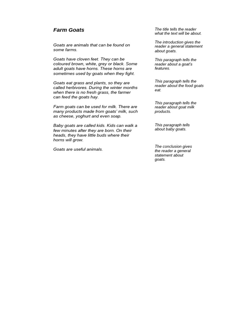 Example in Fore Sport Structure | PDF