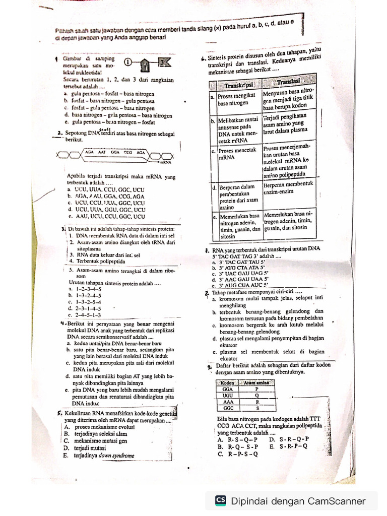 Soal Ulhar Bio | PDF