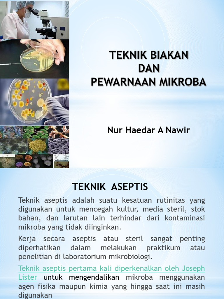 Teknik Biakan Dan Pewarnaan Mikroba | PDF