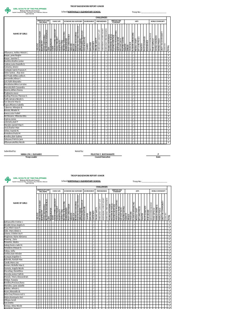 Sy 2024-2025-Badgework-Junior-Gsp | PDF
