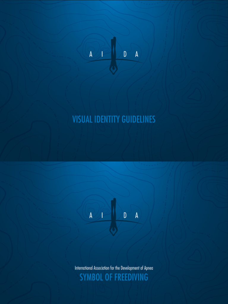 Aida Visual Identity | PDF