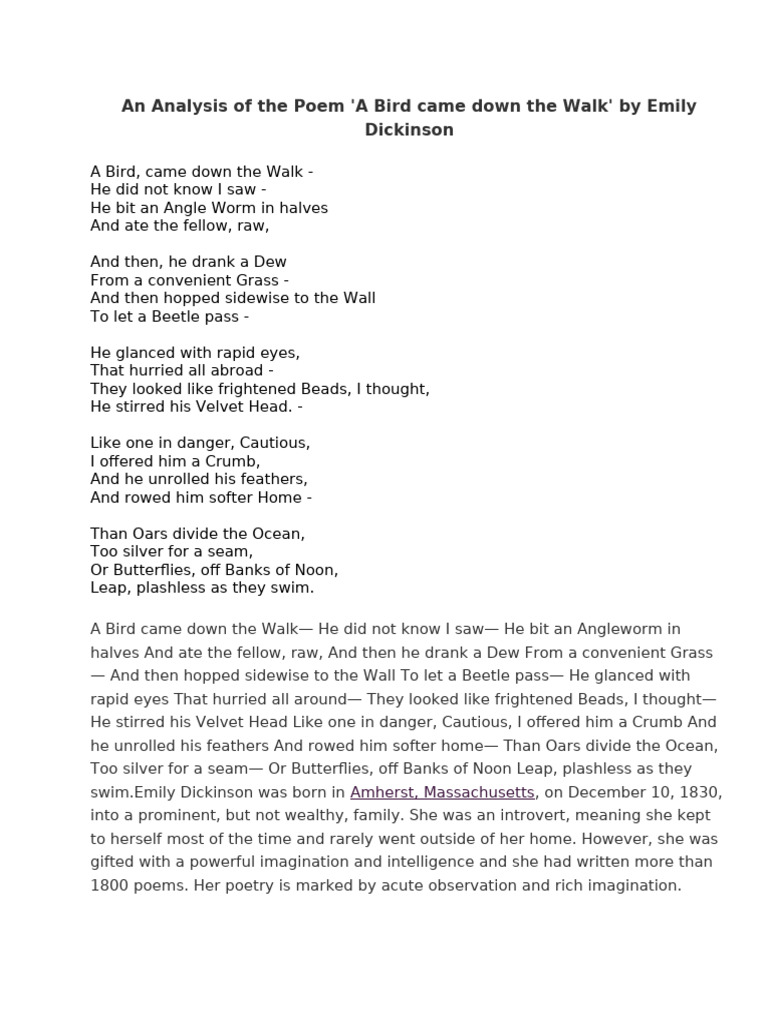 An Analysis of The Poem A Bird Came Down The Walk | PDF