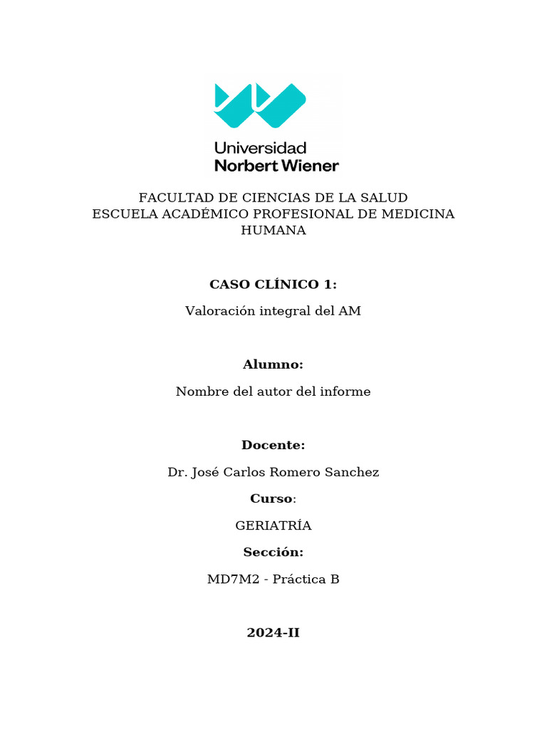 Caso 2 Informe Geria | PDF