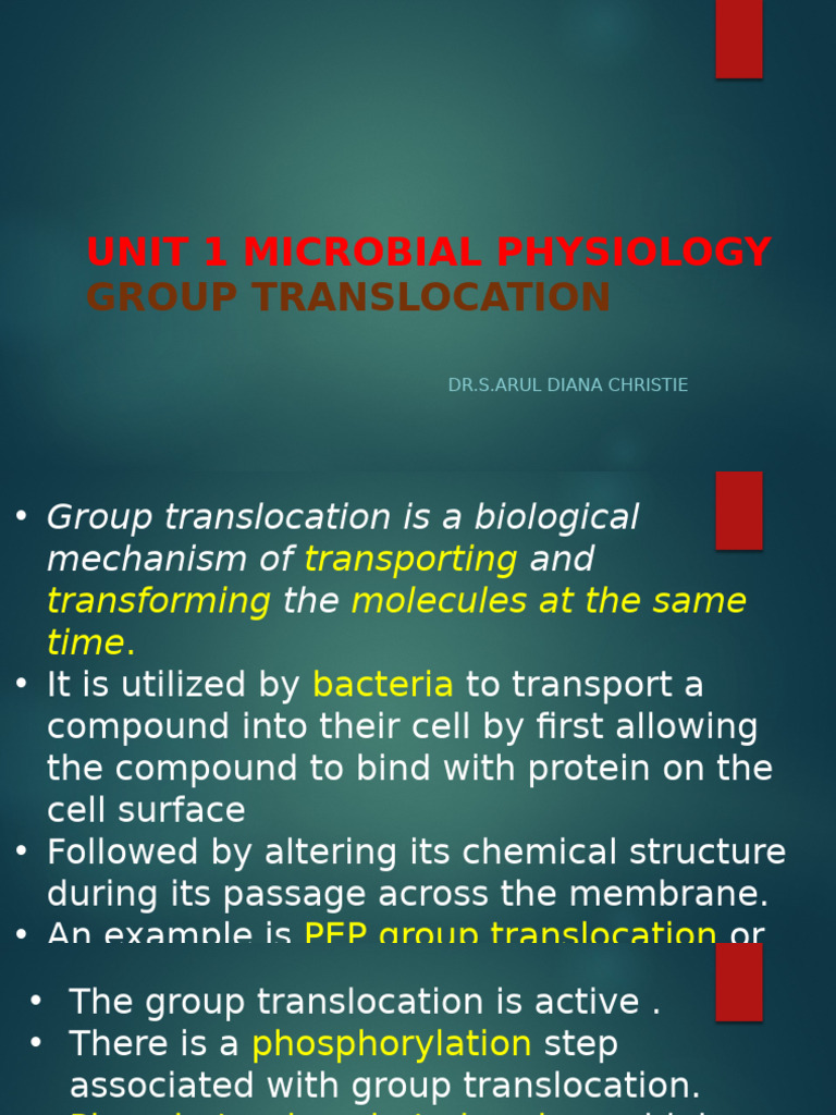 Group Translocation | PDF