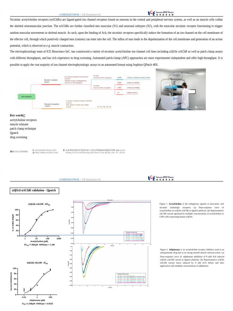 Short Poster - Electrophysiology for NAChRα1β1εδ in Qpatch - En | PDF