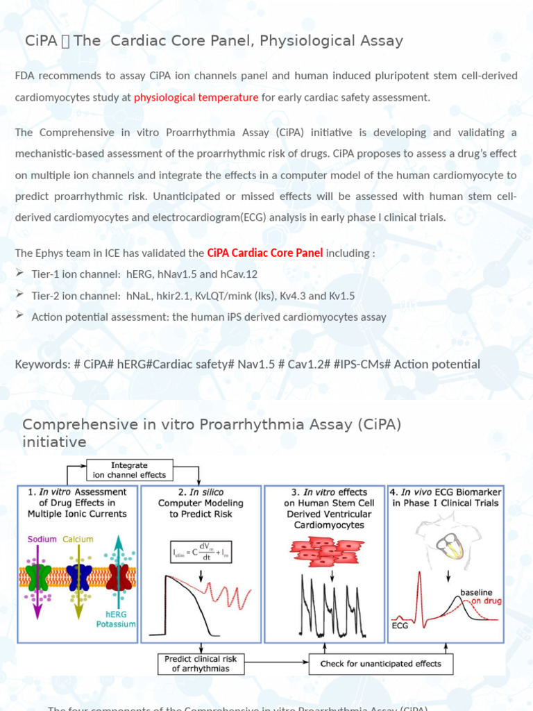 Short Post - Cardiac Safety - CiPA Panel-En | PDF