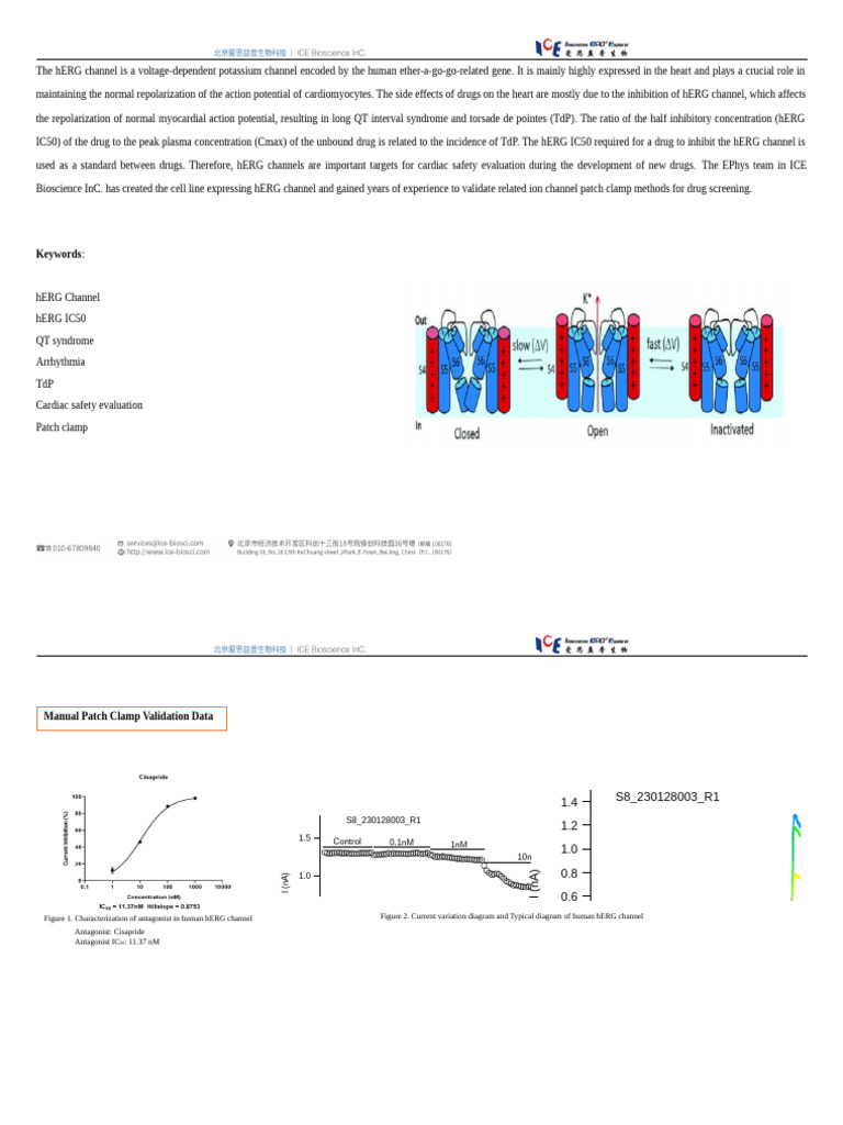 Short Poster - Patch Clamp for HERG Assay - 电生理 - En | PDF