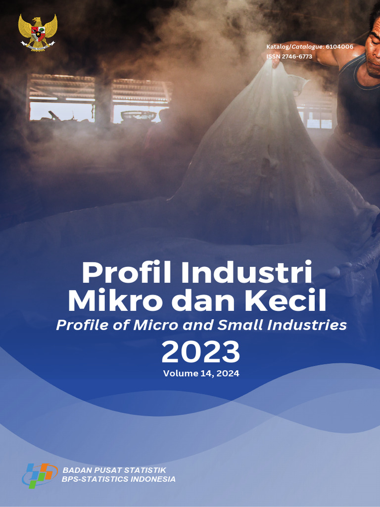 Profil Industri Mikro Dan Kecil 2023 Bps | PDF