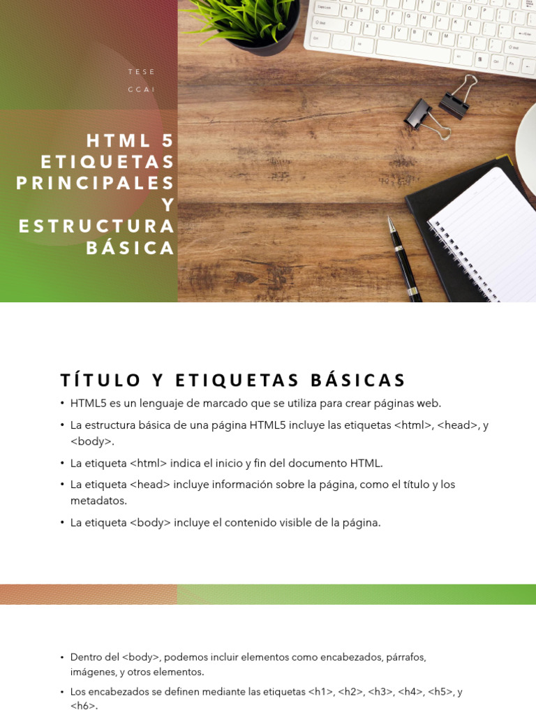 Estructura Basica HTML 5 | PDF