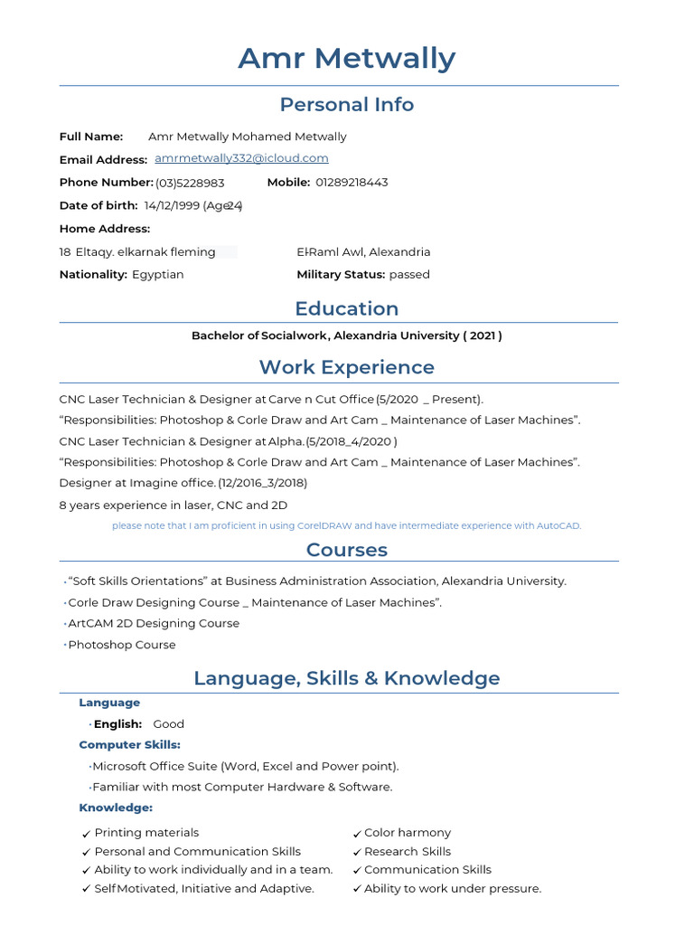 Amr Metwally CV | PDF