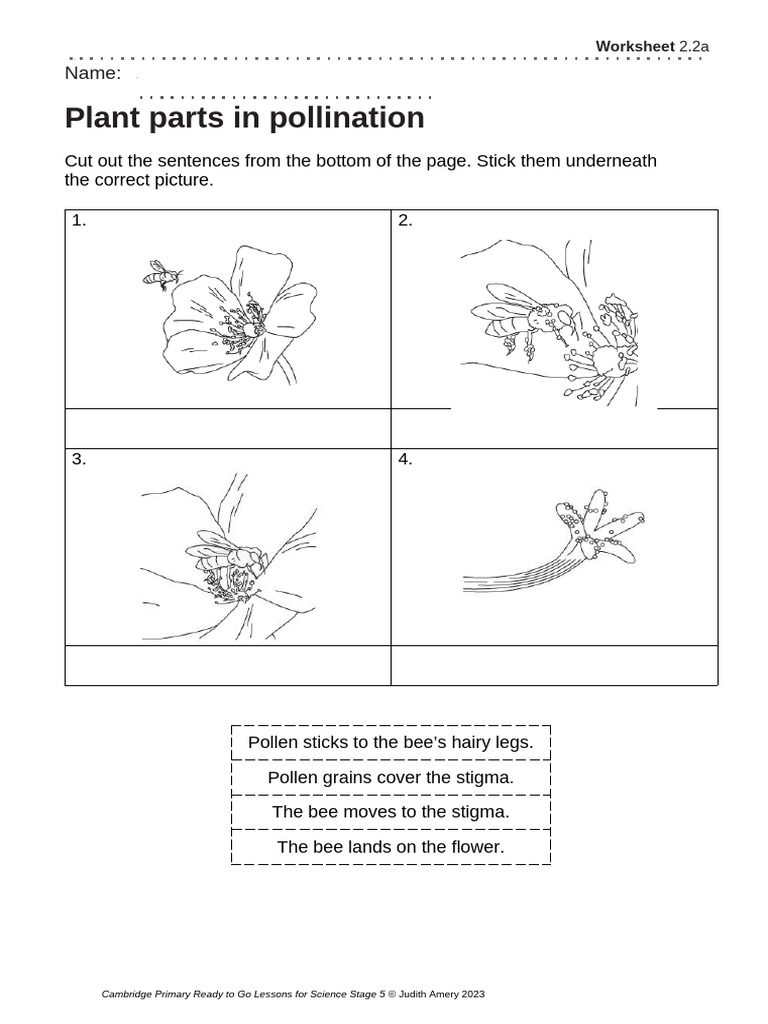 Worksheet 2.2a | PDF