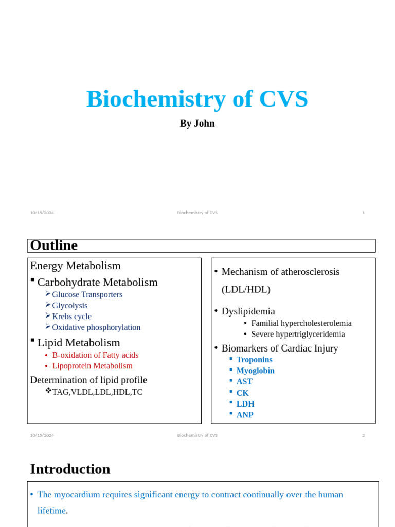 CVS 1 | PDF