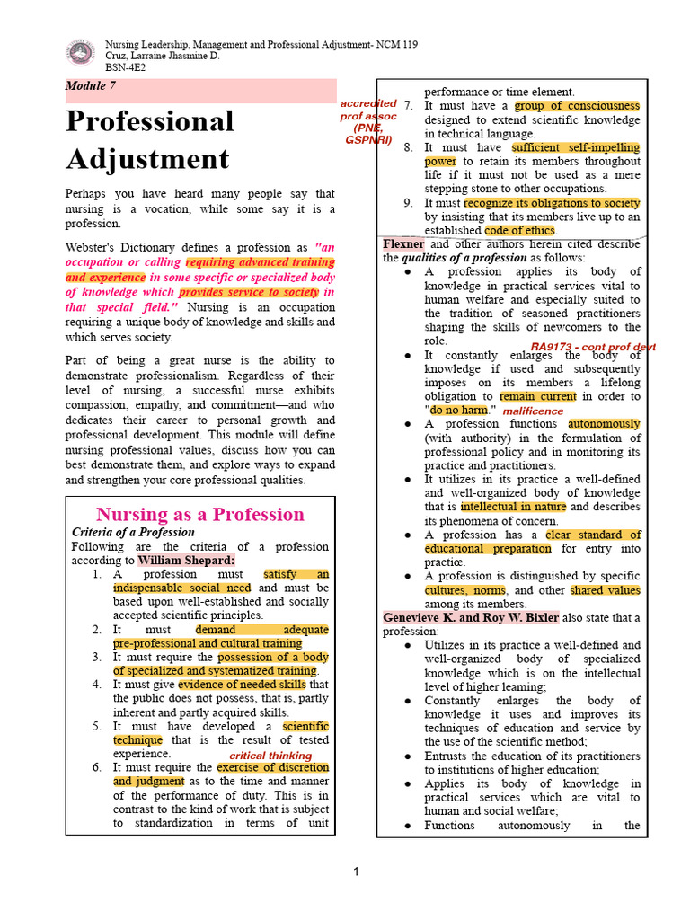 Professional Adjustment: Nursing As A Profession | PDF