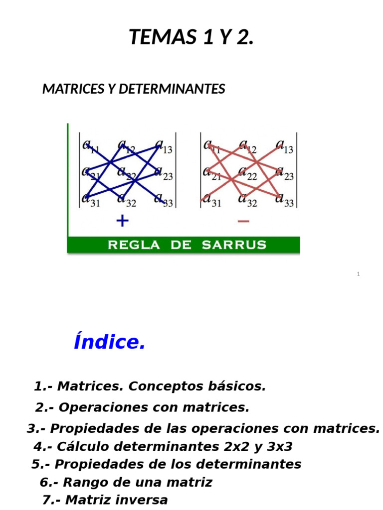 Matrices y Determinantes: Guía Completa | PDF | Matriz (Matemáticas ...