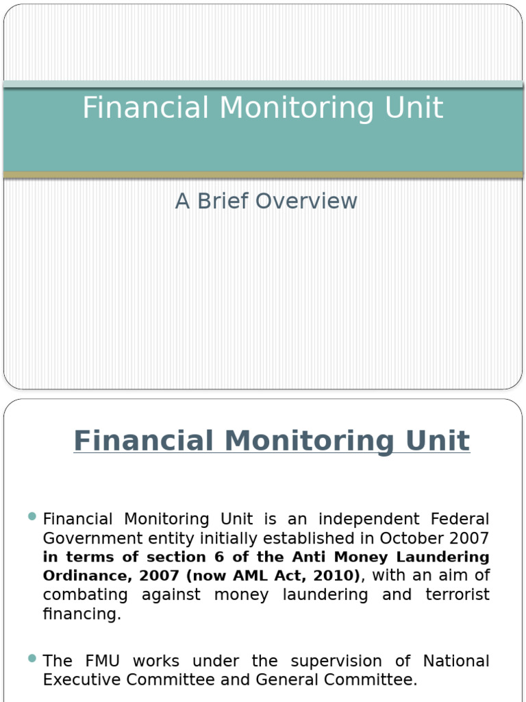 FMU Presentation | PDF