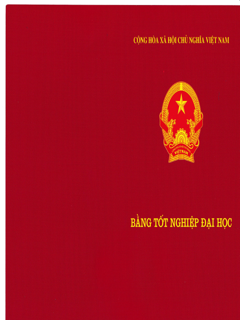 Mau Bang Cu Nhan - DPT - 2019 | PDF