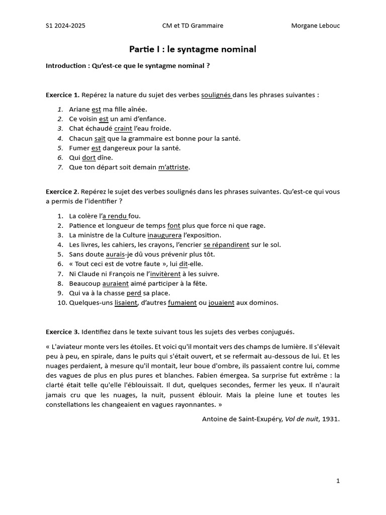 French Grammar Exercises | PDF | French Writers | General Fiction