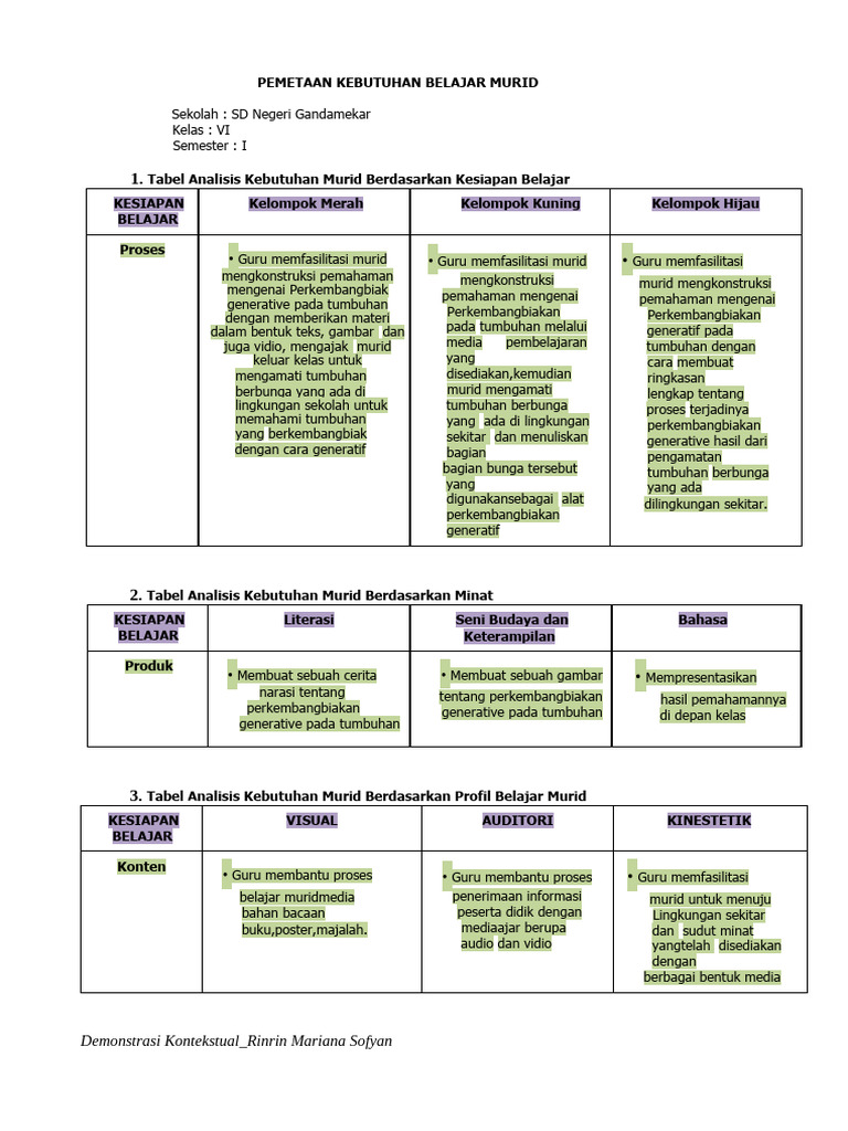 RPP Berdiferensiasi - Rinrin Mariana Sofyan | PDF