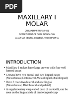 Upper 6 | PDF | Dental Anatomy | Dentistry Branches