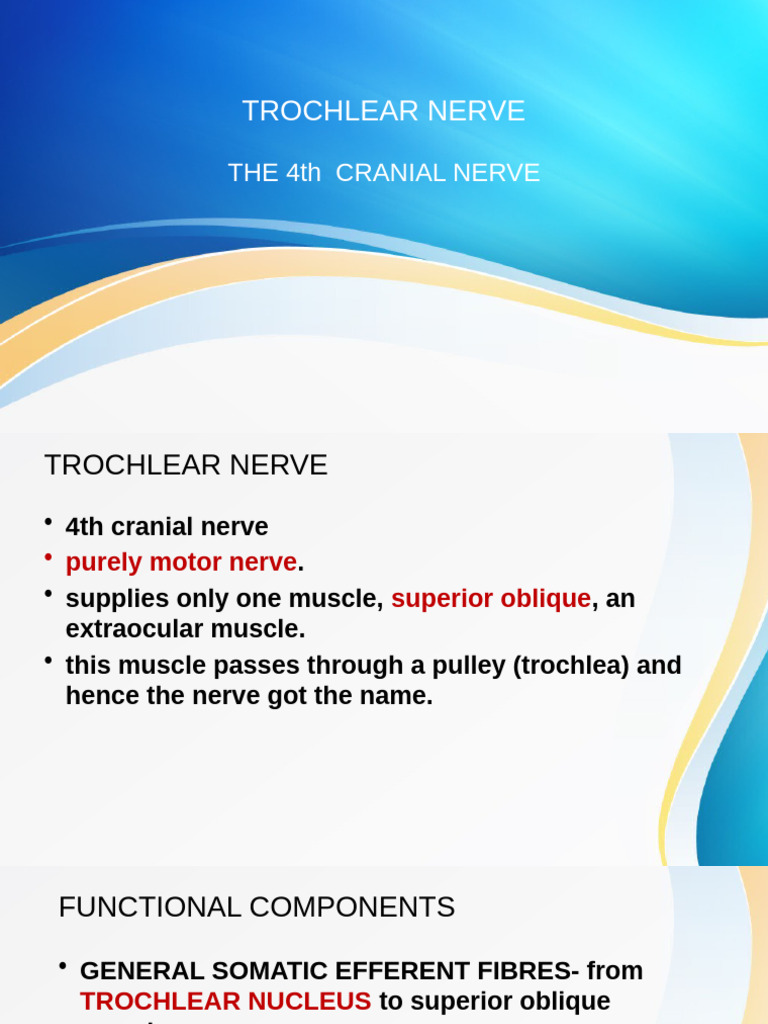 Trochlear Nerve | PDF