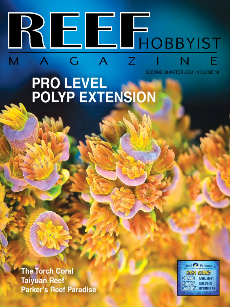 Pro Level Polyp Extension: The Torch Coral Taiyuan Reef Parker's Reef ...