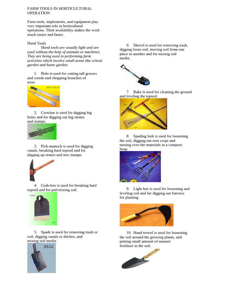HORTILesson1 LO1 1 | PDF
