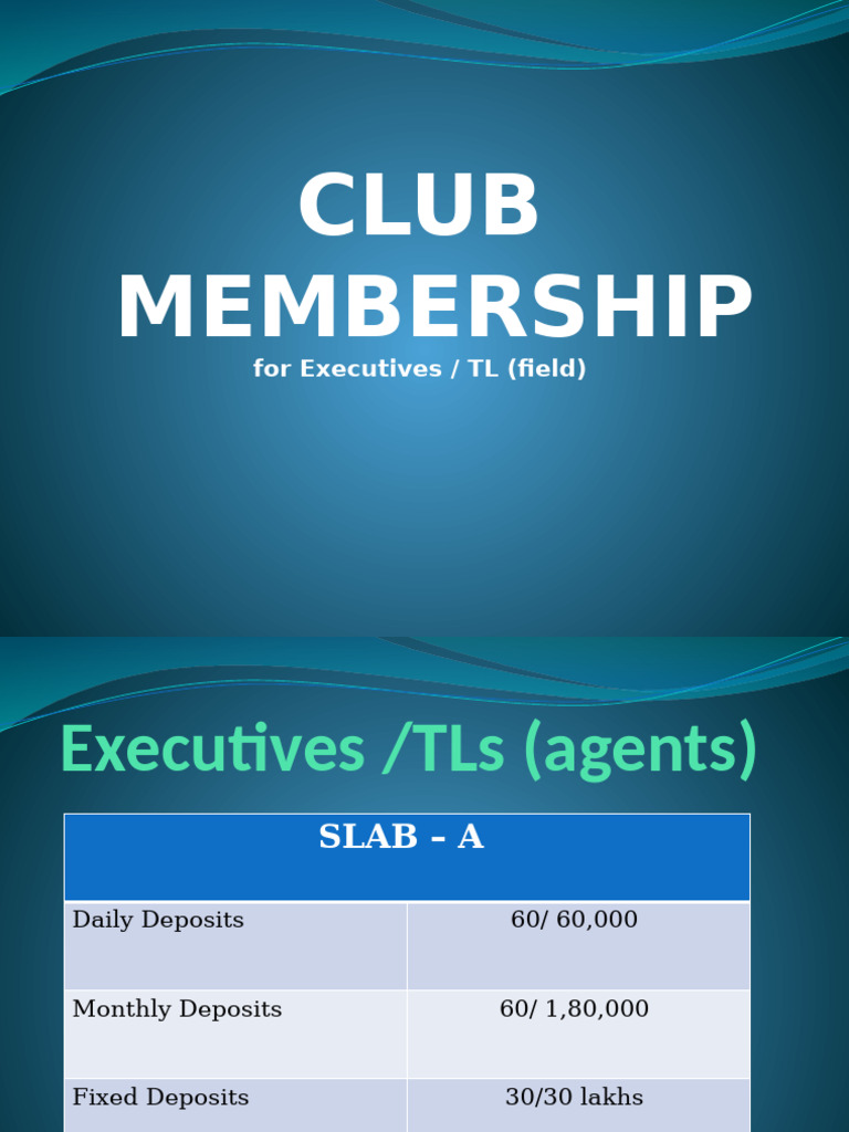 Employee Incentive Structure | PDF