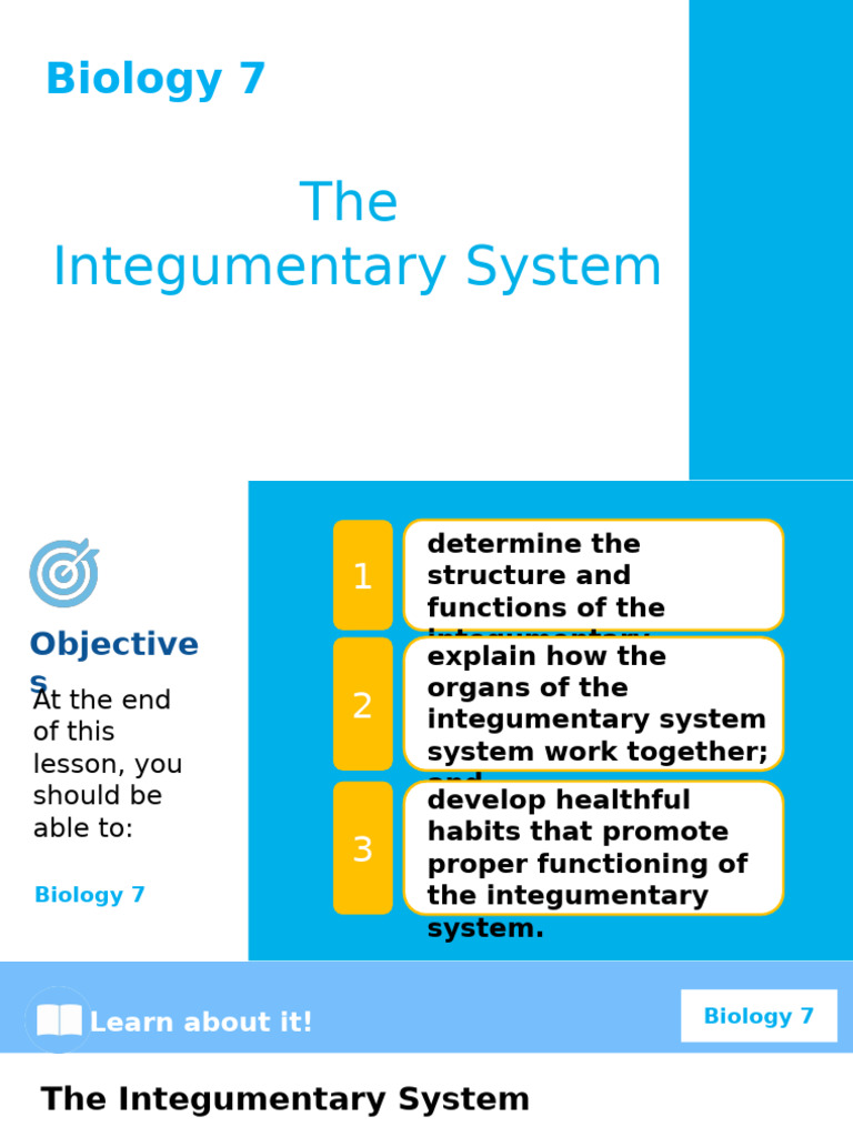 7 BIOLOGY The Integumentary System | PDF