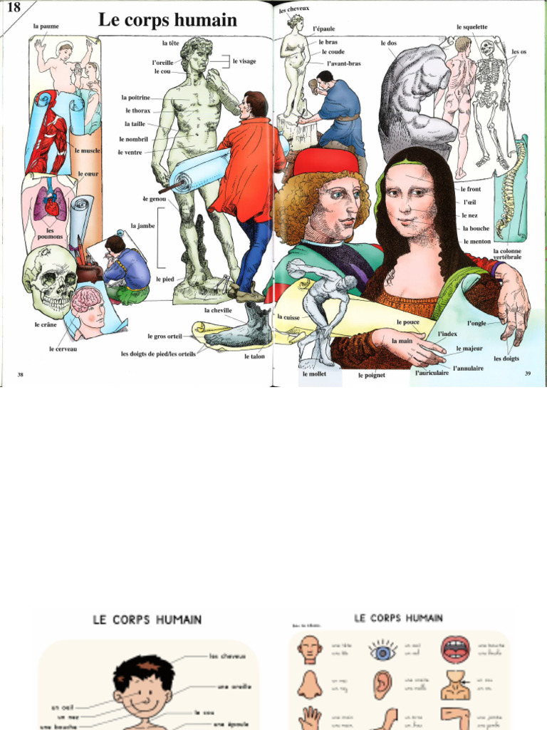 LEX_CORPS HUMAIN | PDF