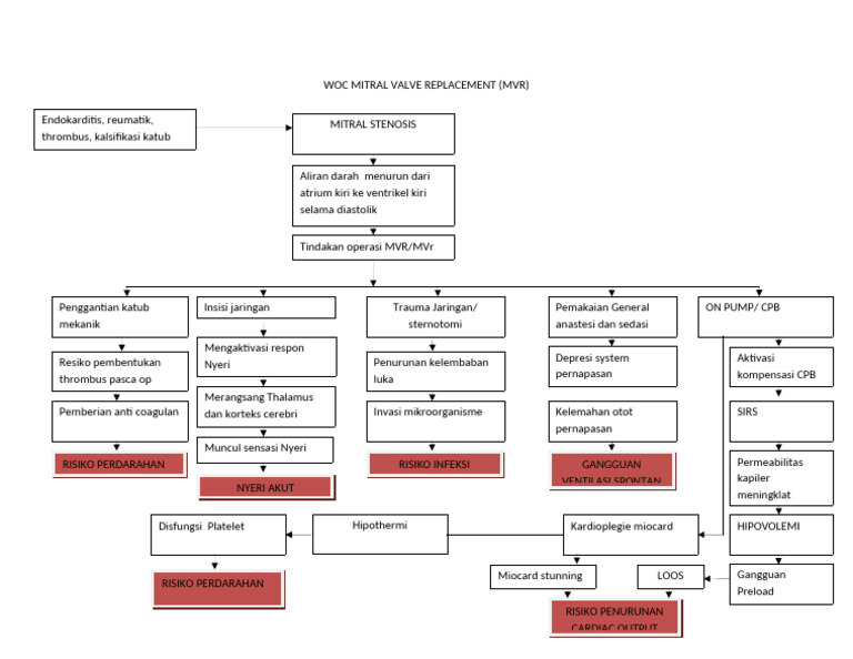 Pathway Post Op MVR | PDF | Blood | Cardiovascular Physiology