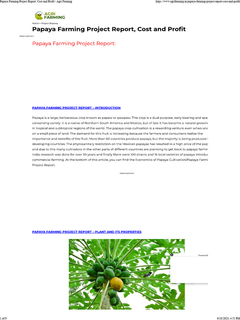 Papaya Farming Project Report, Cost and Profit Agri Farming | PDF