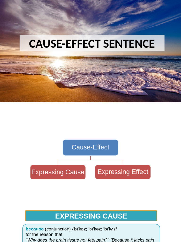 Chapter 5 - Cause Effect | PDF