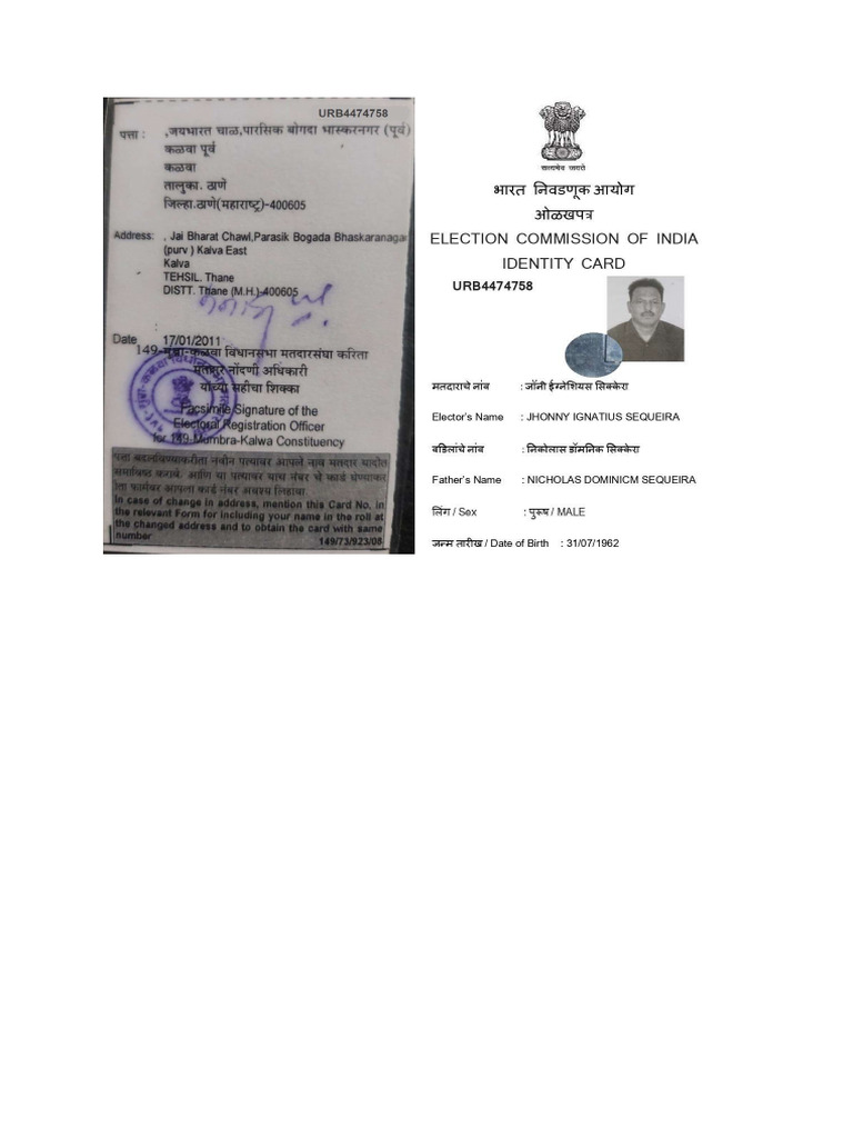 Voter ID | PDF