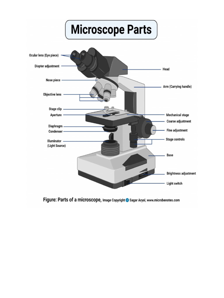 Microscope | PDF