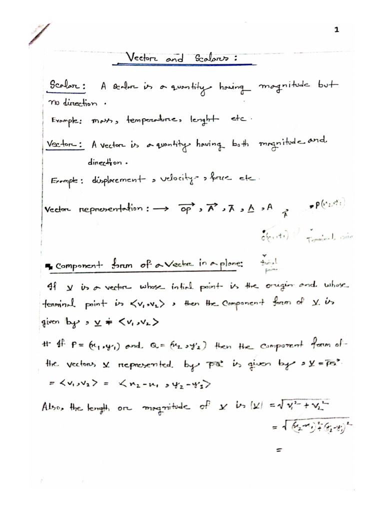 Vector Assignment | PDF