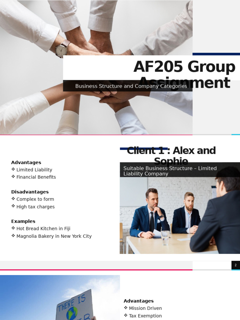 AF205 Group Assignment | PDF | Taxes | Business